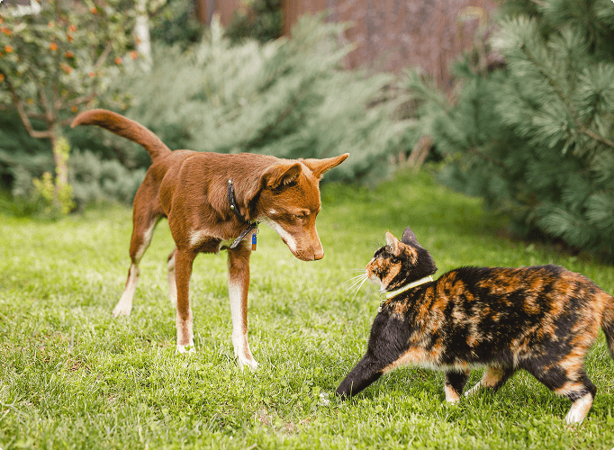 Planned giving - It Takes A Village